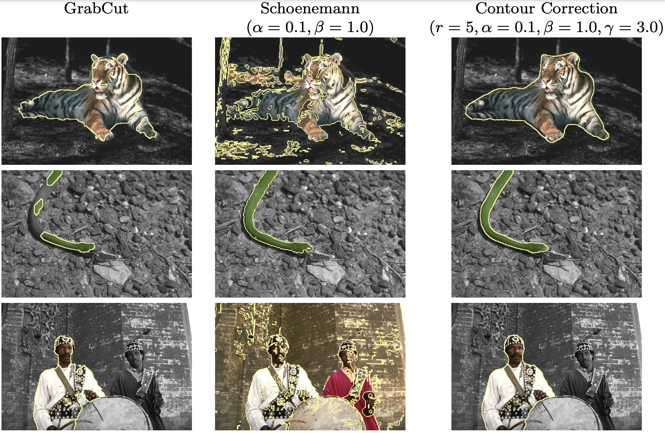An Elastica-Driven Digital Curve Evolution Model for Image Segmentation | Jacques-Olivier Lachaud